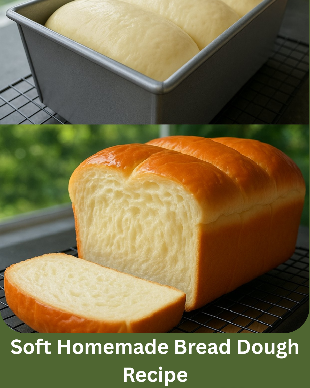 Soft Homemade Bread Dough Recipe Delicious Recipe