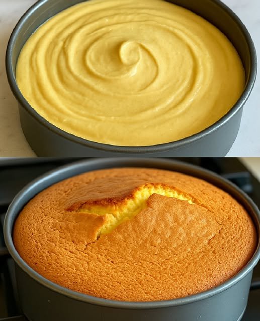 Simple 3 Ingredient Sponge Cake - Delicious Recipe